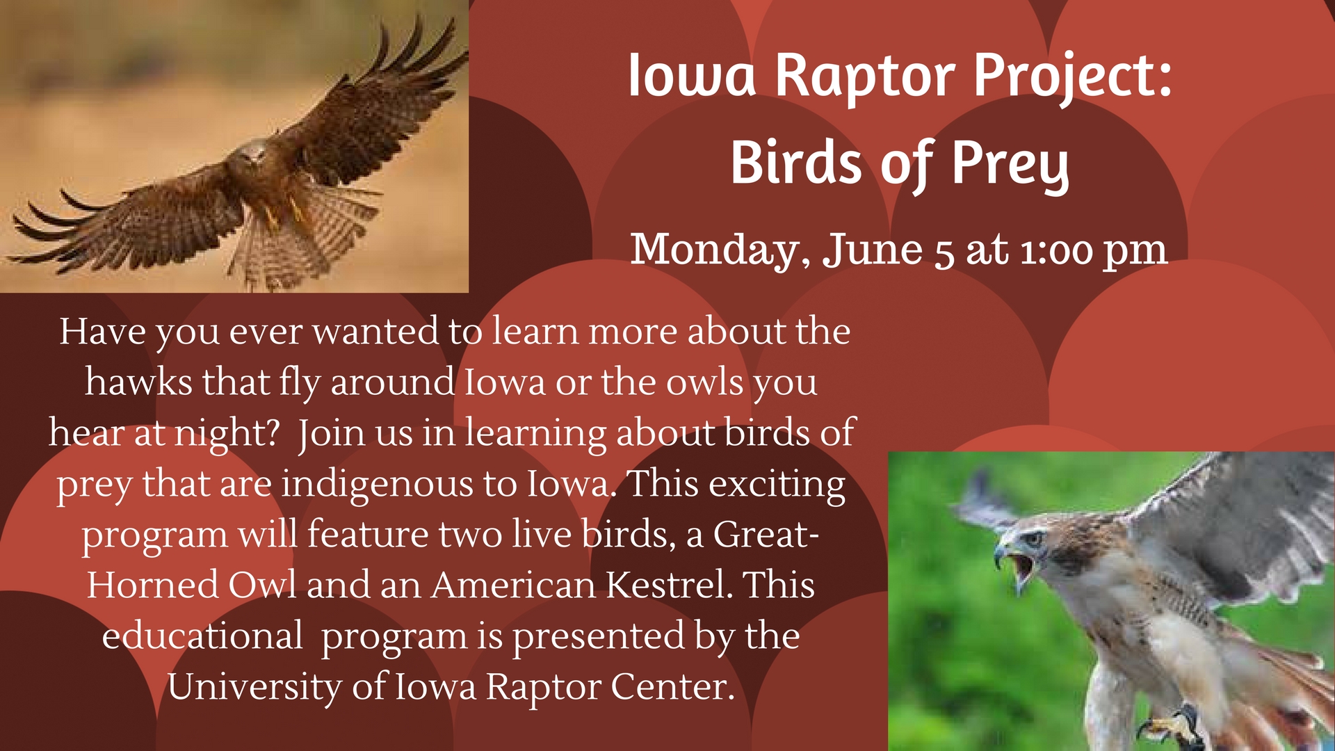 Events | City of Hiawatha, IA