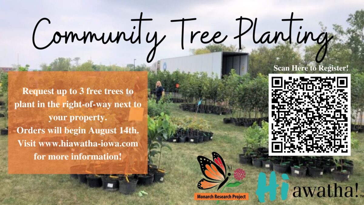 Hiawatha Native Tree Right-of-Way Enrichment Program – Registration ...